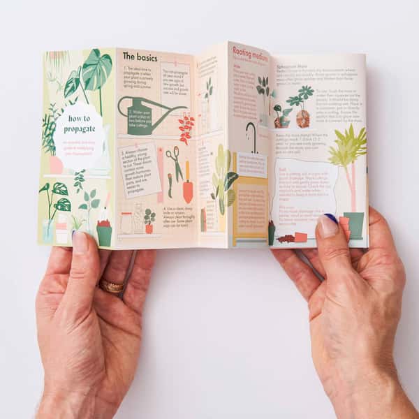 Propagation Plant Pocket guide Wholesale | Another Studio