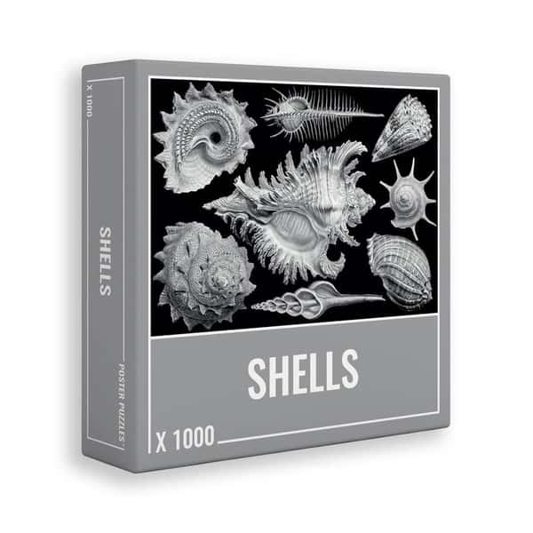 Shells 1000 Piece Jigsaw Puzzles For Adults Wholesale | Cloudberries Jigsaw Puzzles