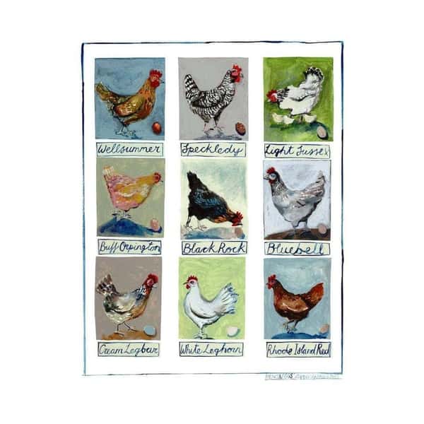 Chickens Poster Print Wholesale | Driftwood Designs