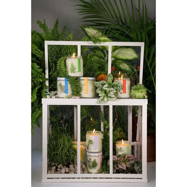 GREENHOUSE Full Collection Wholesale | to:from